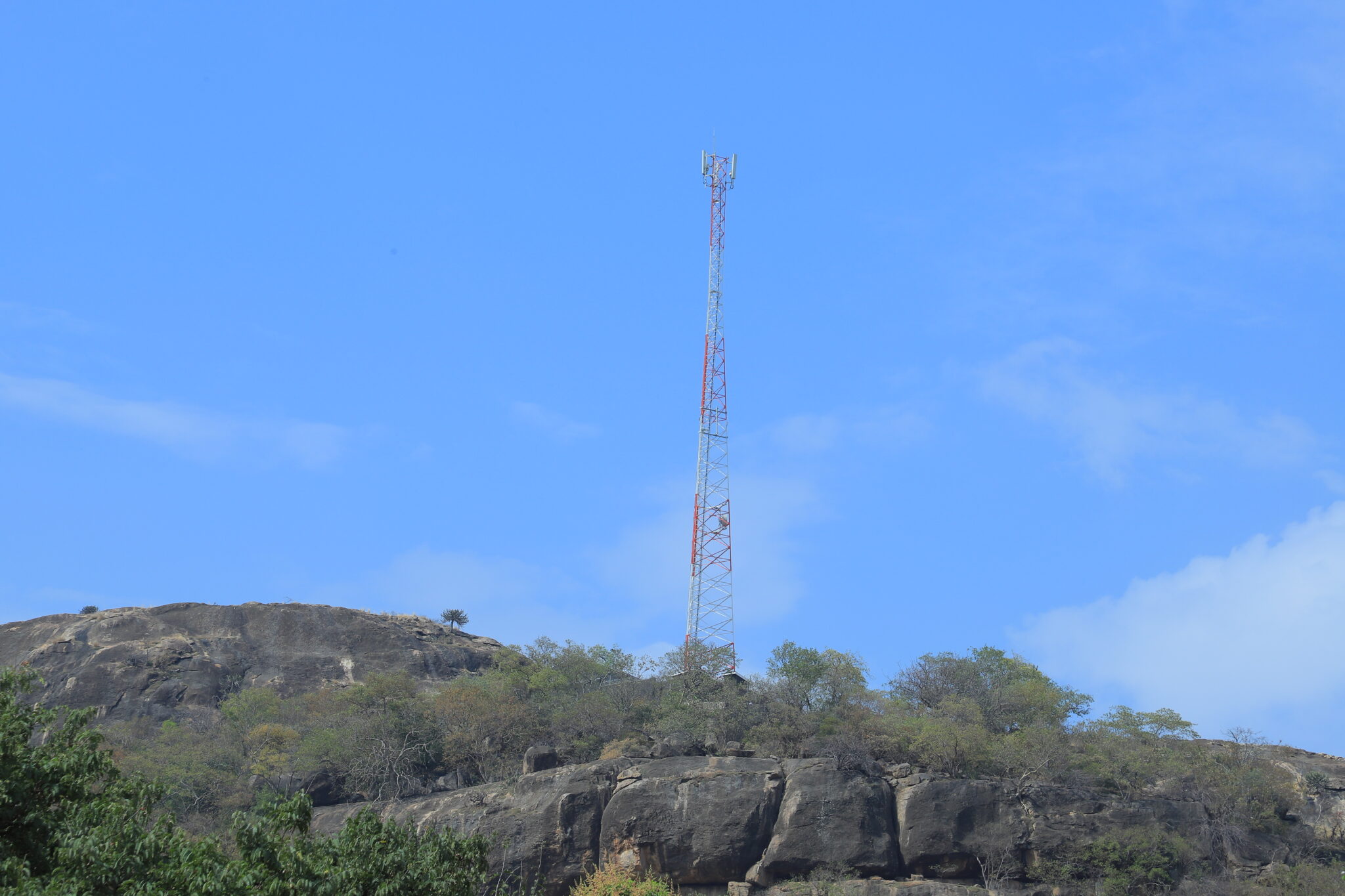 New Communications Sector Report Highlights Efforts to Bridge Access ...
